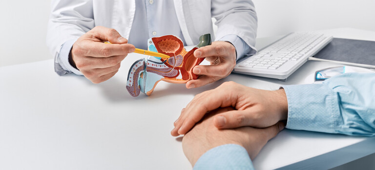 Die Prostata – Anatomie, Funktionen und Gesundheit - Prostata-Vorsorge.net